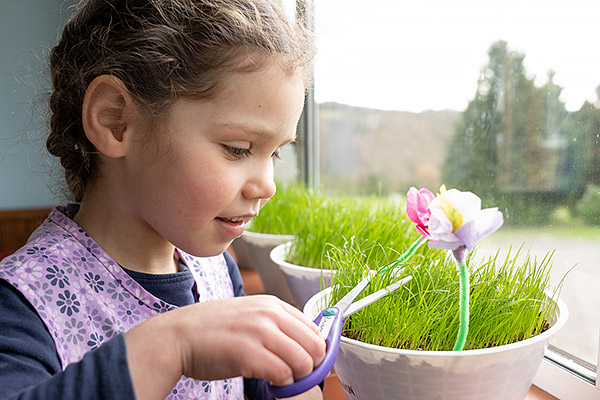 Growing grass from seeds | Nature project for young children ...